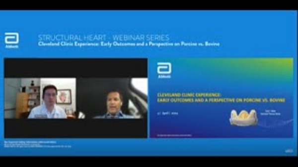 Abbott Structural Heart Solutions